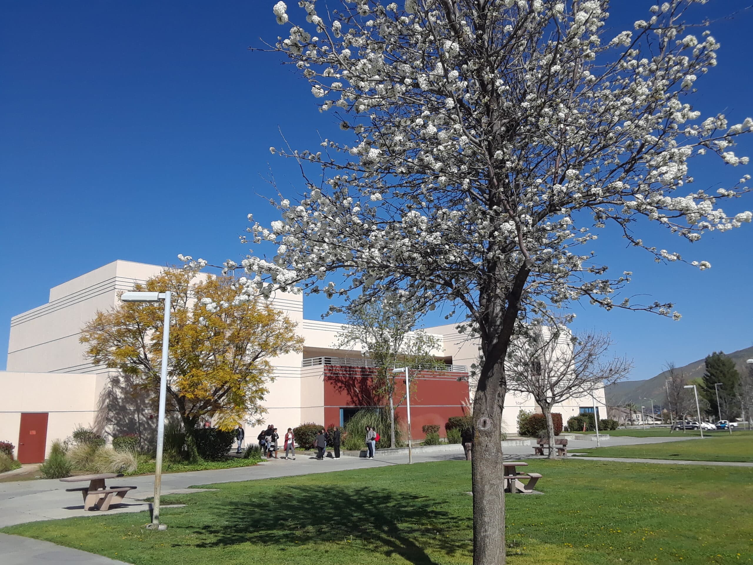 California community colleges are losing students - Reason Foundation