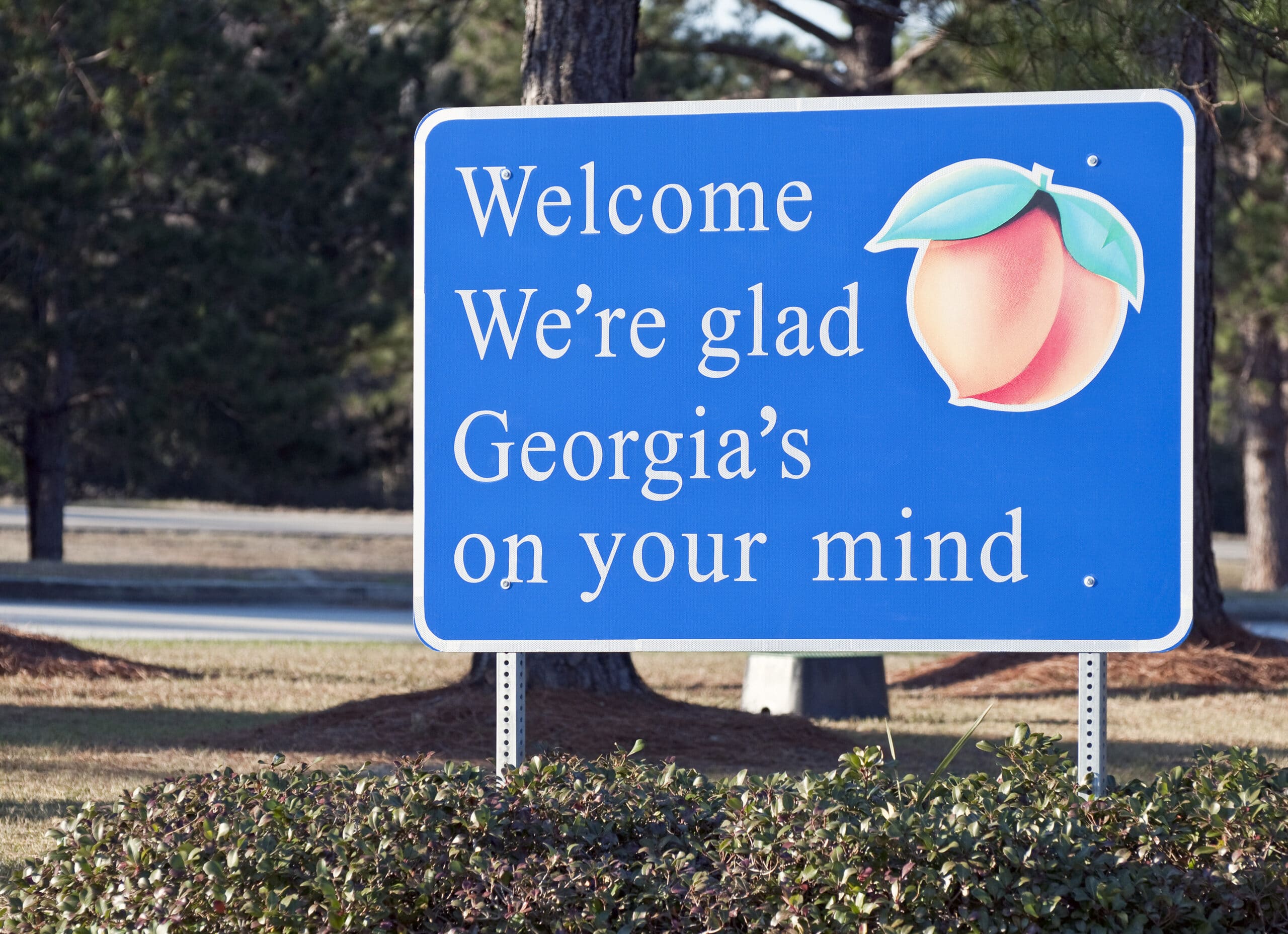 Voters' guide to Georgia's statewide ballot questions (2022) - Reason ...