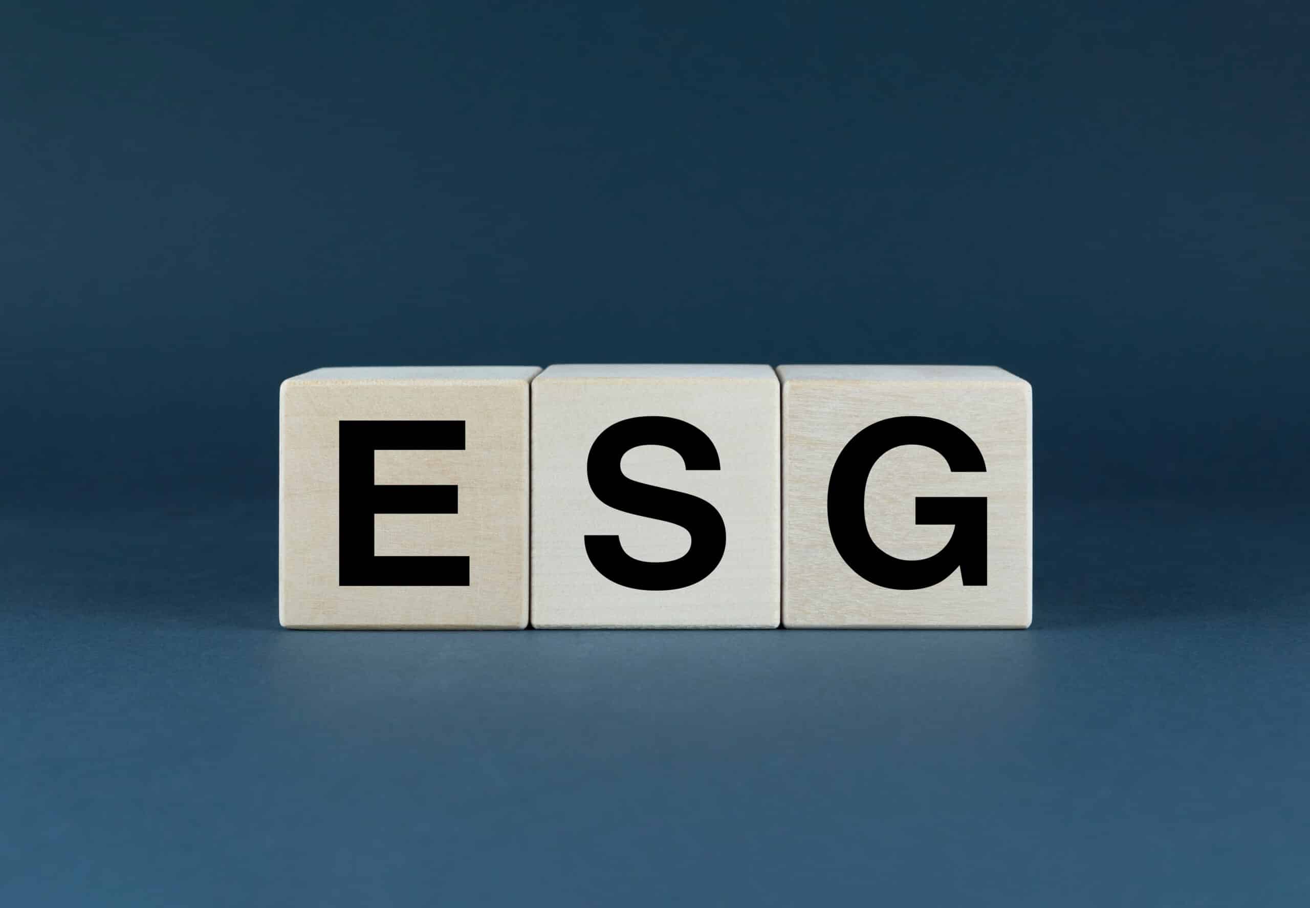 ESG Mechanics: A look at divestment and engagement
